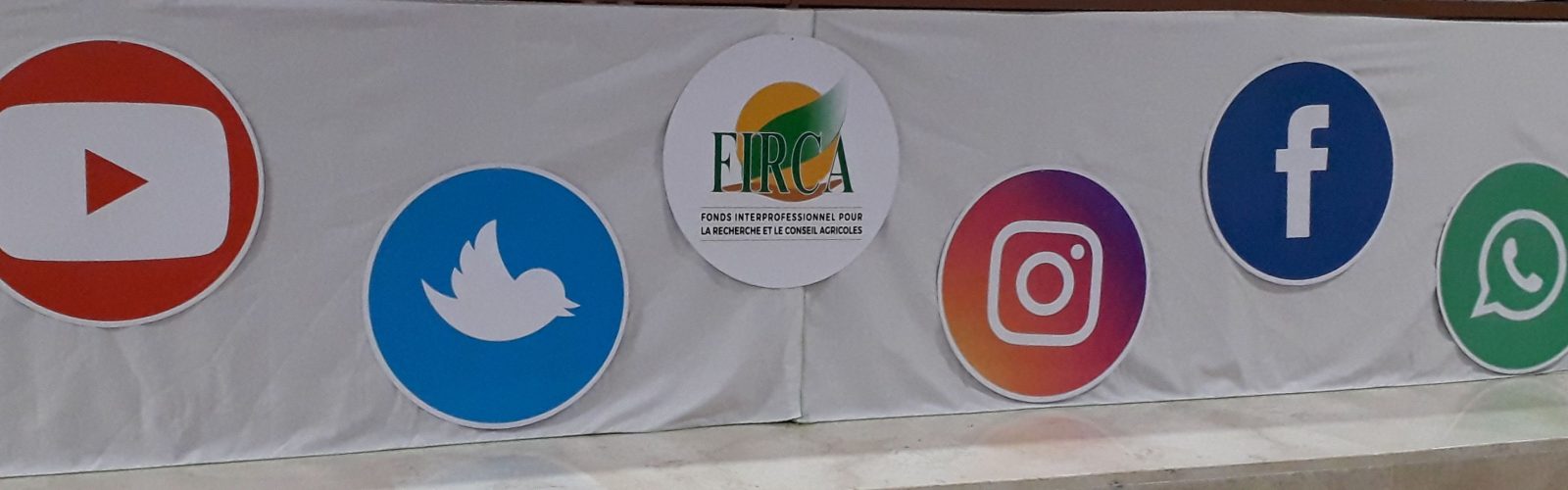 Agriculture - Le Firca se dote d'un nouveau site web et digitalise ses ...